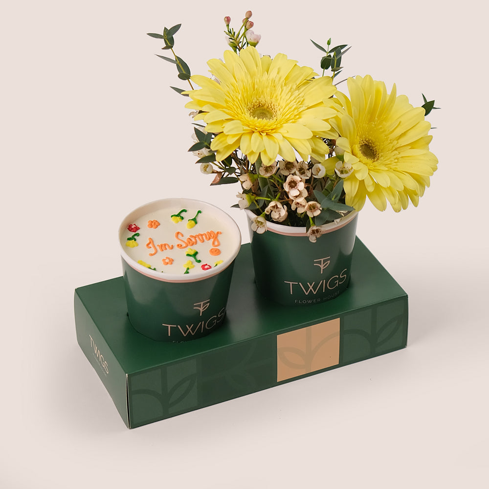 Yellow Gerbera Cup & Cake in Cup – I’m Sorry Gift | Dubai Delivery – TWIGS