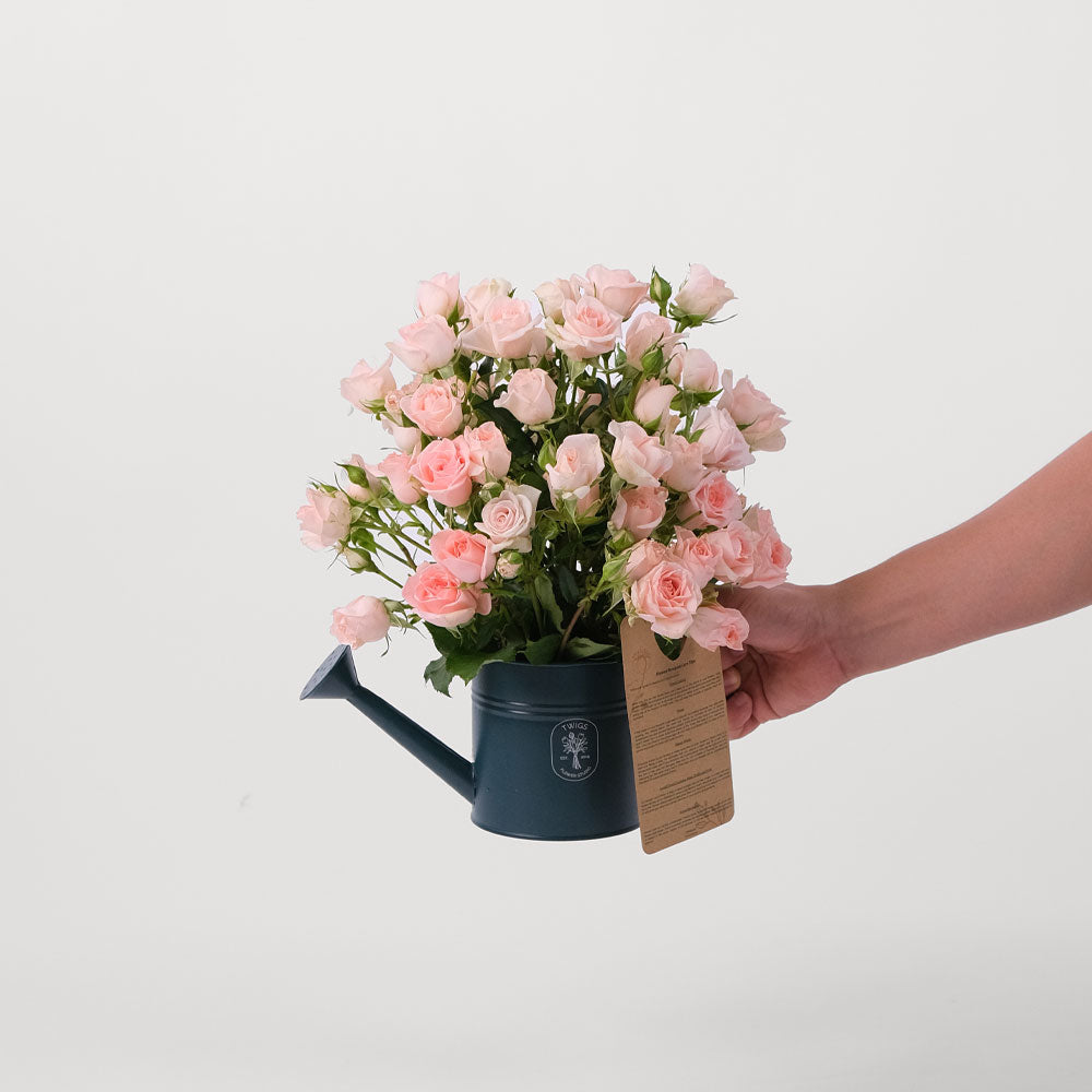 Sweet Sara Spray Rose Twigs-it Can – TWIGS