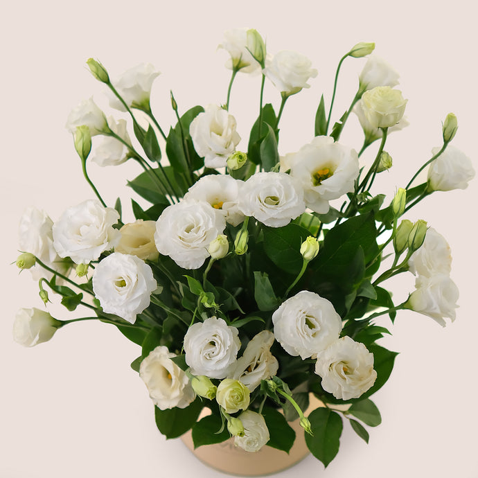 Deluxe Flower Box of White Lisianthus – Luxury Gift UAE – TWIGS